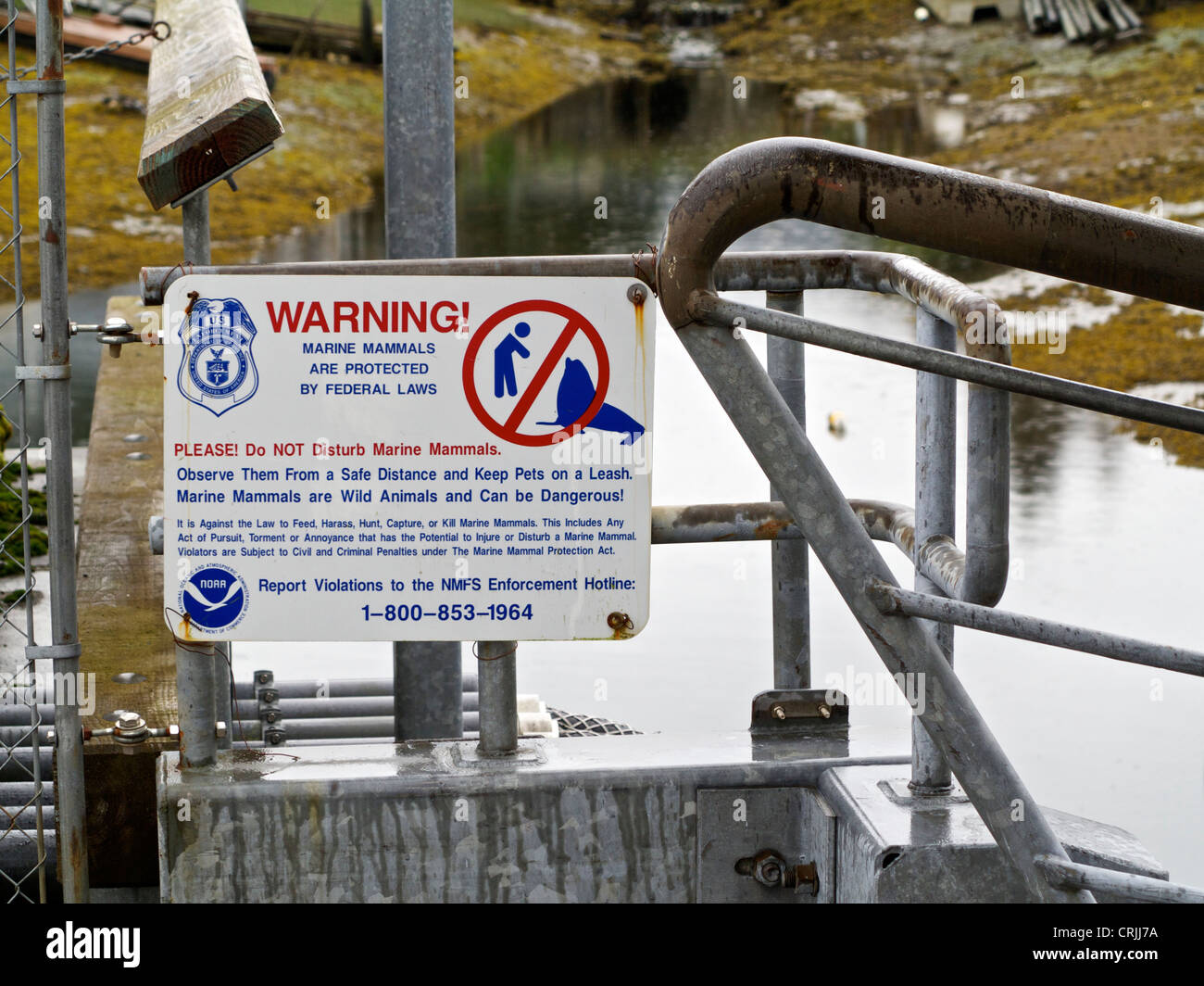 Sign warning against disturbing marine mammals. Petersburg, Alaska ...