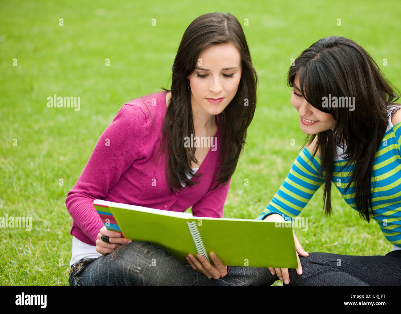 Beautiful girls studying with their notebooks Stock Photo - Alamy