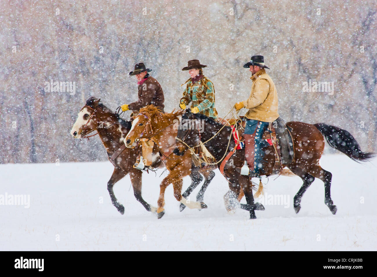 Cowboys in snow hi-res stock photography and images - Alamy