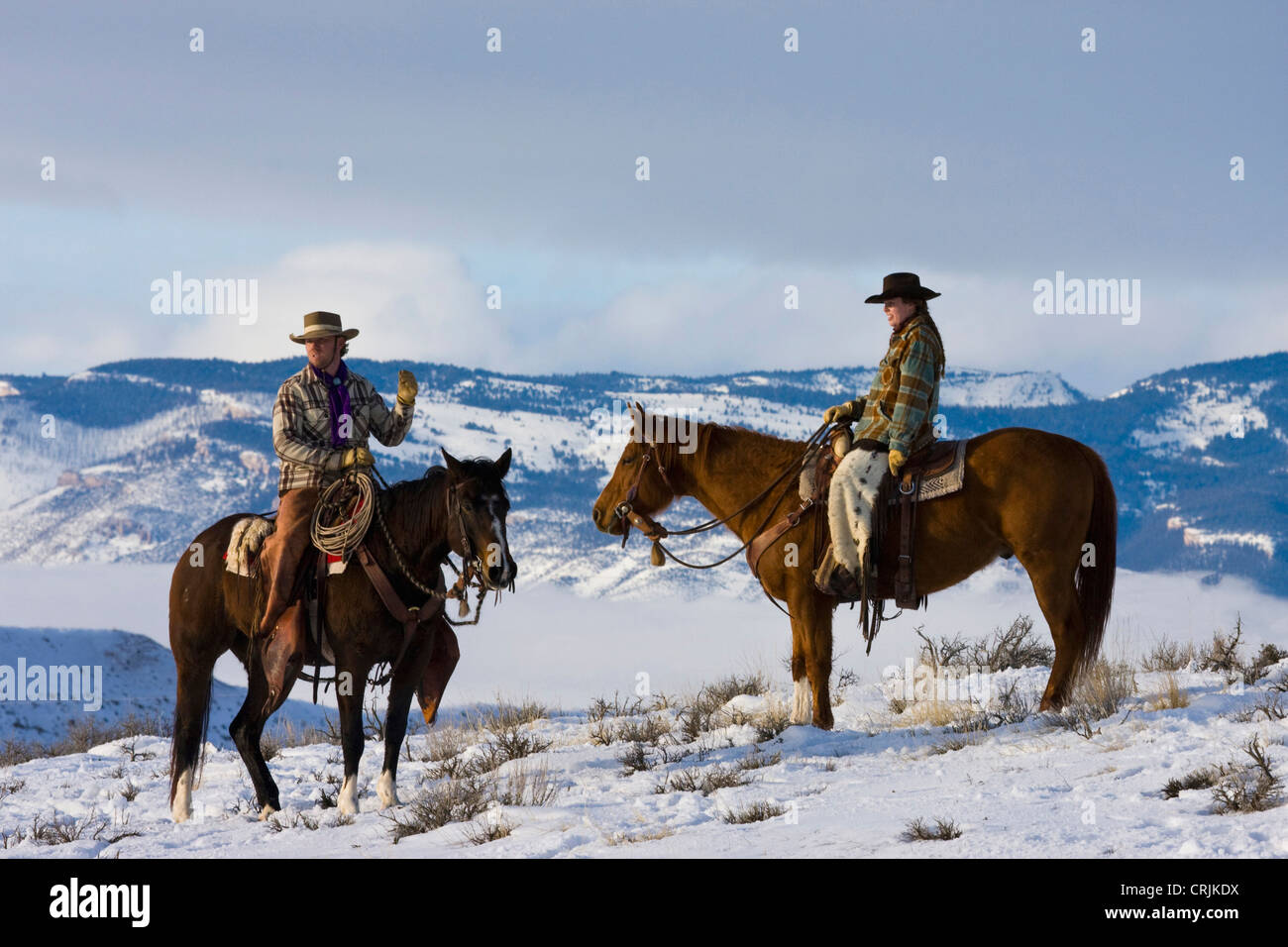 Cowboy On Horseback In Snow High Resolution Stock Photography and ...