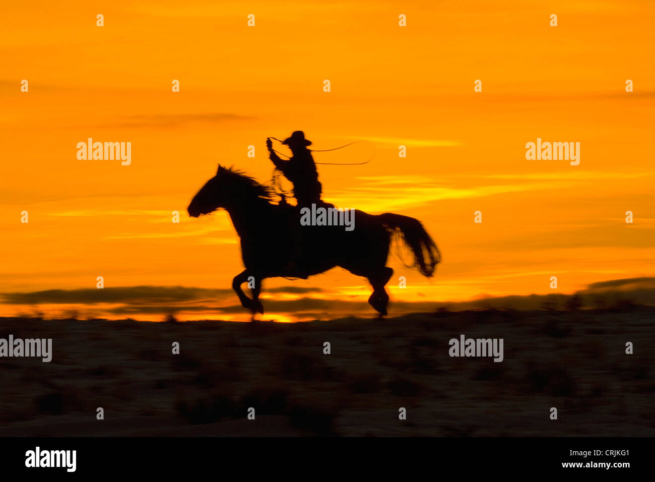 Cowboy riding into sunset hi-res stock photography and images - Alamy