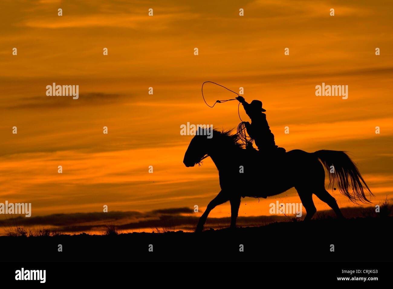 Cowboy riding into sunset hi-res stock photography and images - Alamy