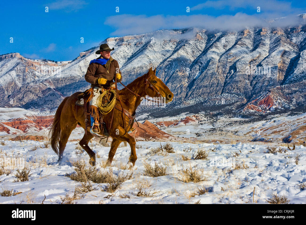 North America; USA; Wyoming; Shell; Cowboy riding Horse through the ...