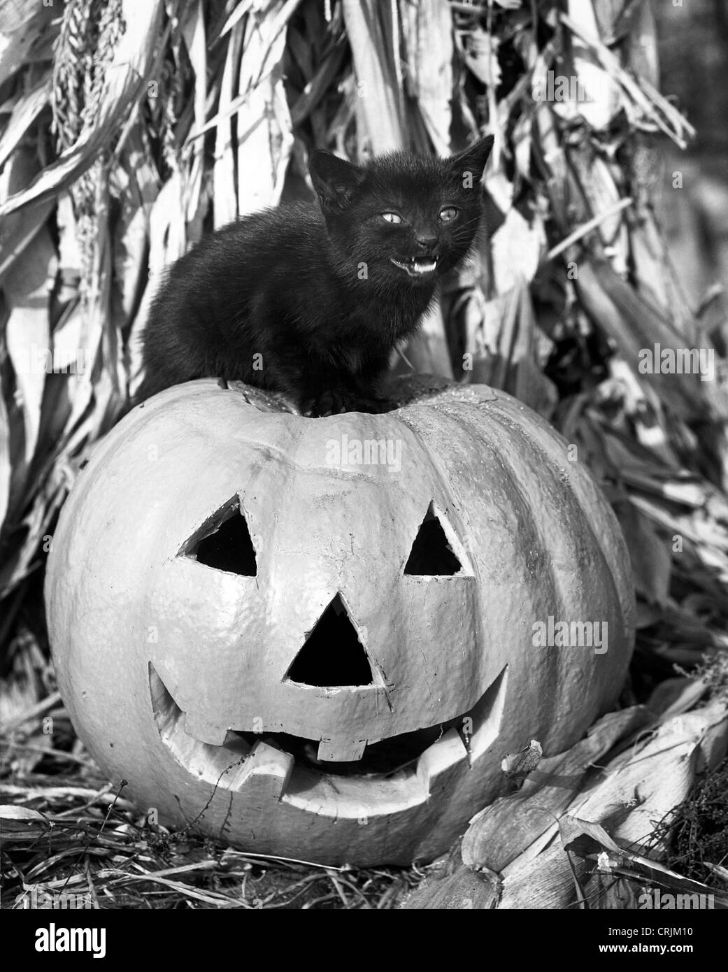 Vintage halloween hi-res stock photography and images - Alamy