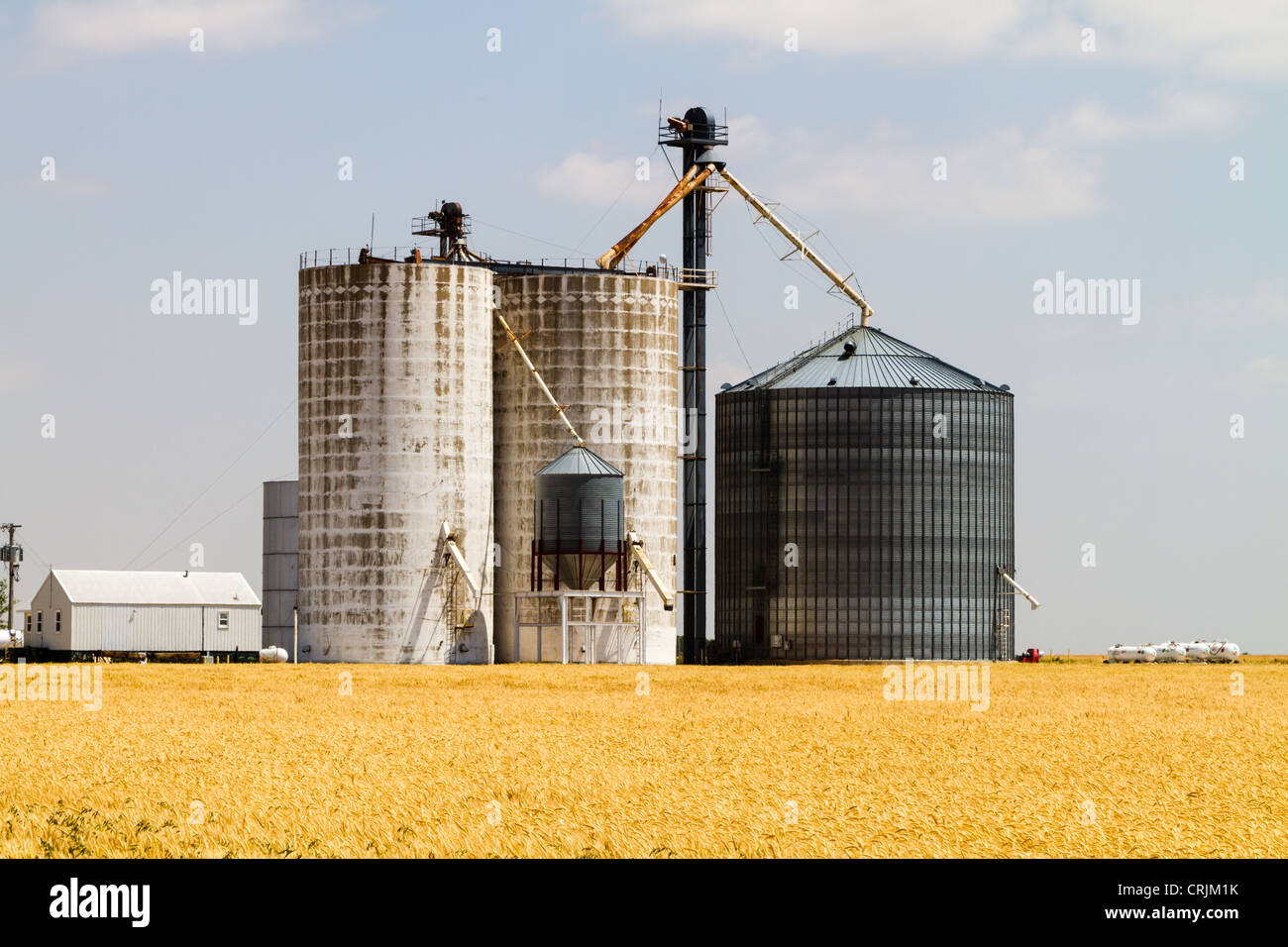 Kansas wheat hi-res stock photography and images - Alamy