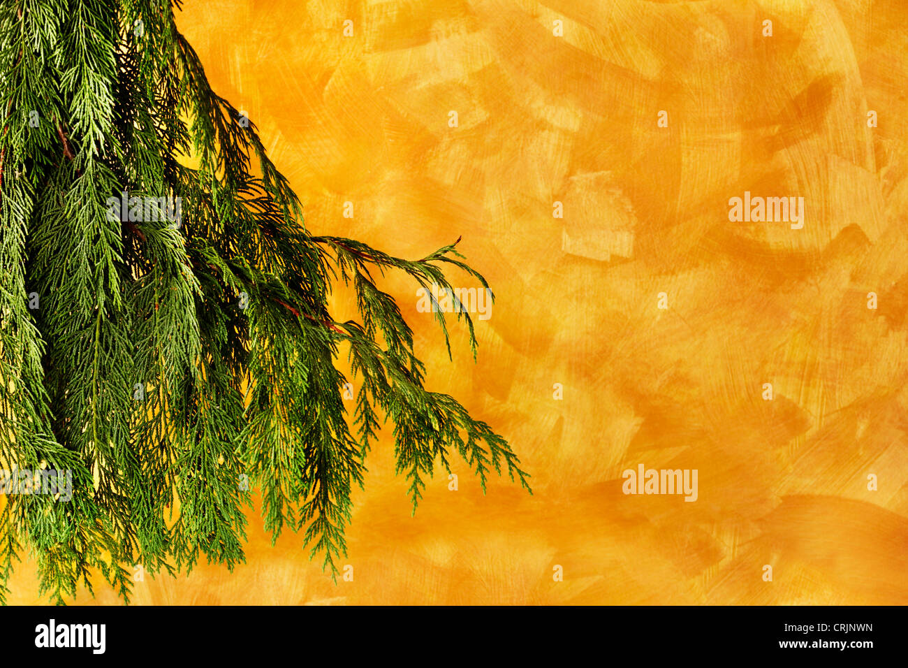 Plain Christmas Background High Resolution Stock Photography and Images ...