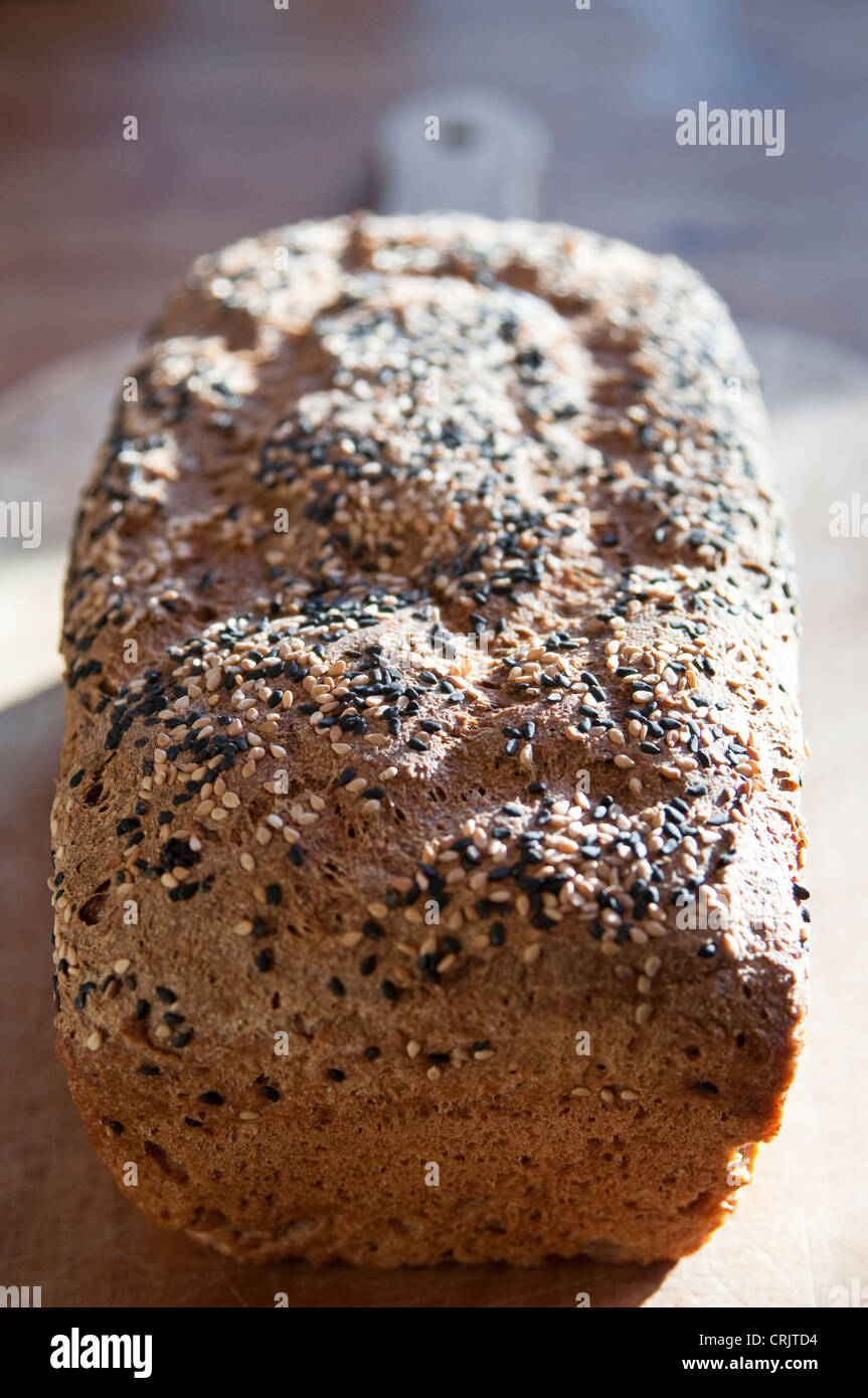 A freshly baked loaf of healthy brown bread covered with sesame seeds ...