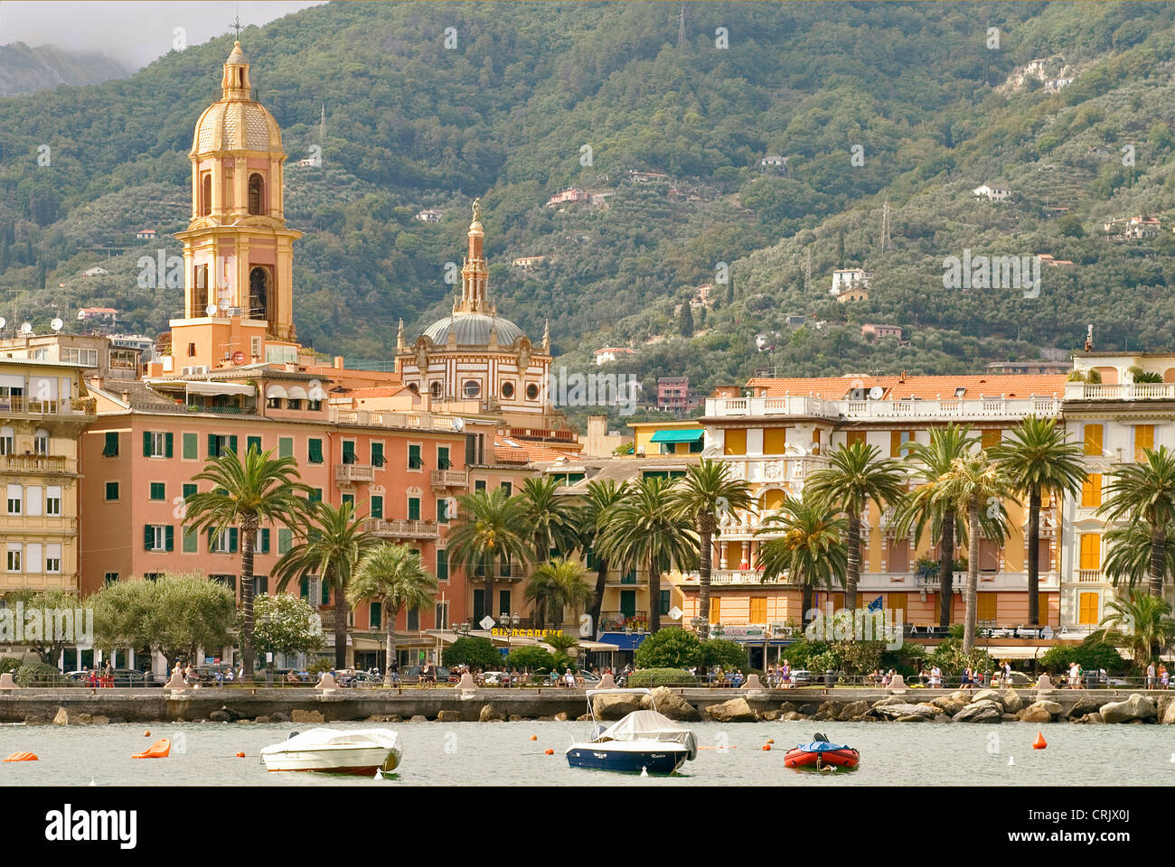 Old Town of Rapallo at the Ligurian Coast, Italy, Rapallo Stock Photo ...