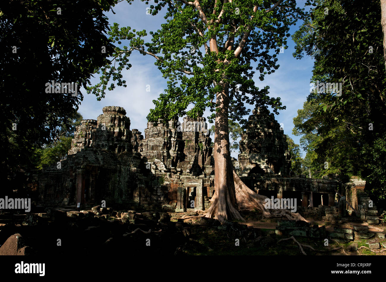 Banteay Kdei Temple & banyan tree or strangler fig, Temples of Angkor ...