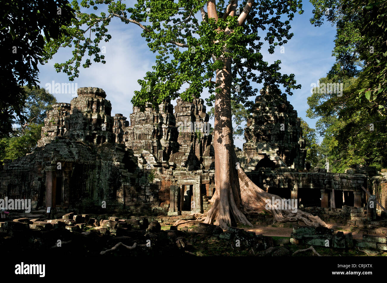 Banteay Kdei Temple w/ strangler fig / banyan tree, Temples of Angkor ...
