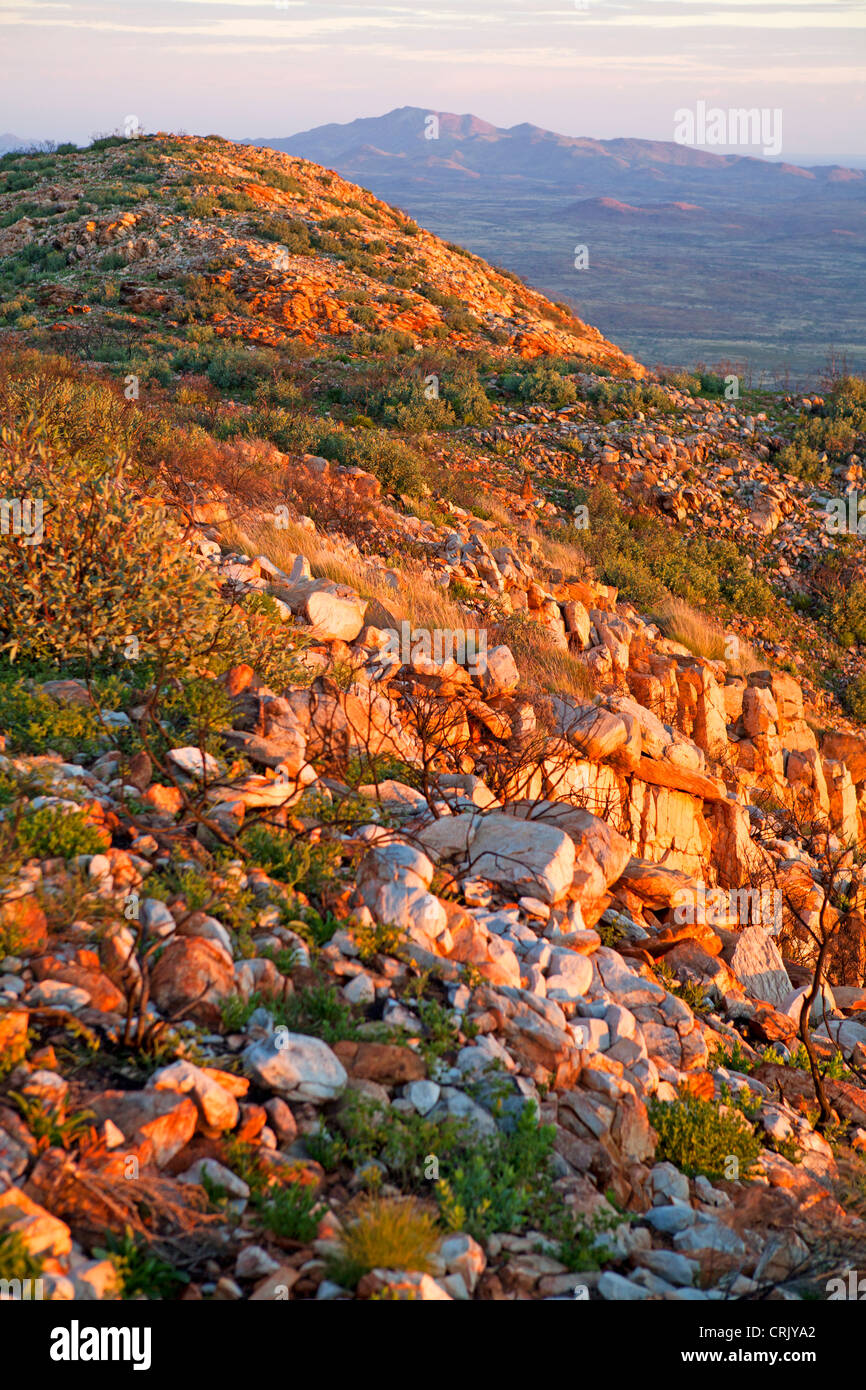 The summit of Mt Sonder, at the western end of the Larapinta Trail ...