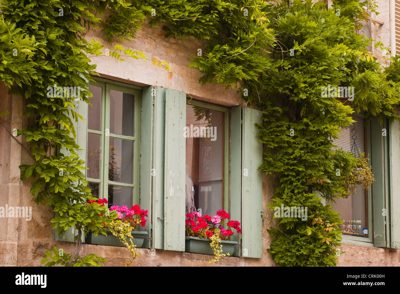 A vine covered window of a house on the main street in the hilltop town ...