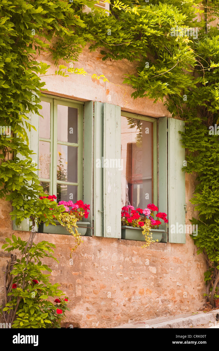 A vine covered window of a house on the main street in the hilltop town ...