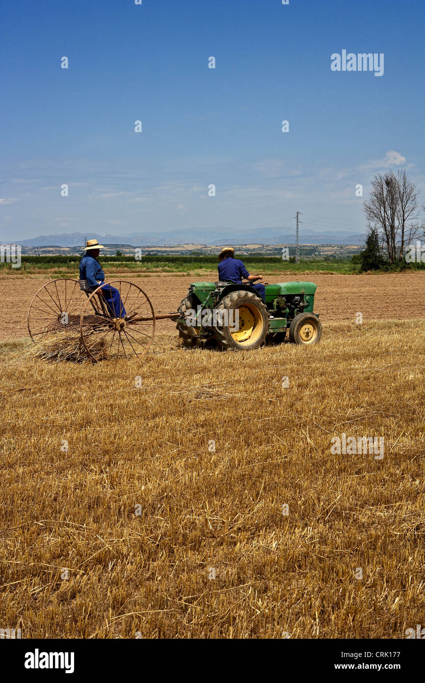 Old agricultural machine harvesting with tractor Stock Photo - Alamy