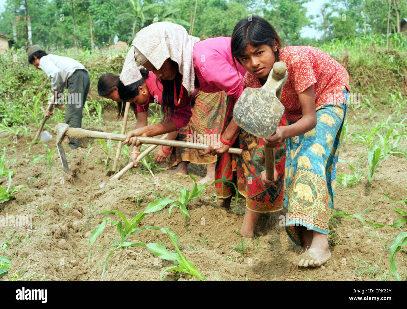Nepal child working labor hi-res stock photography and images - Alamy
