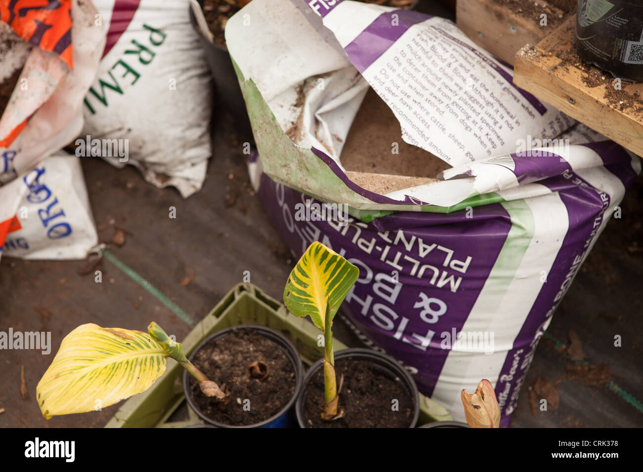 Bag compost greenhouse hi-res stock photography and images - Alamy