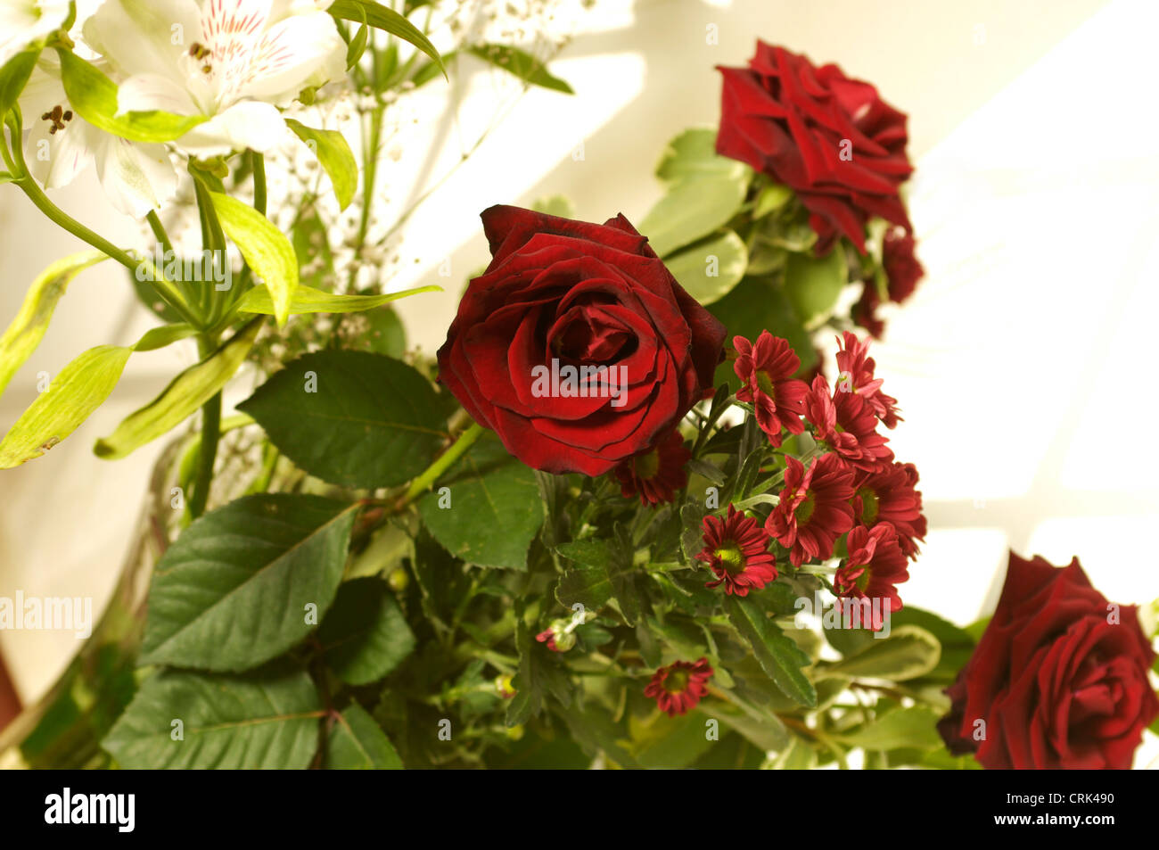 vase of flowers in hospital Stock Photo - Alamy