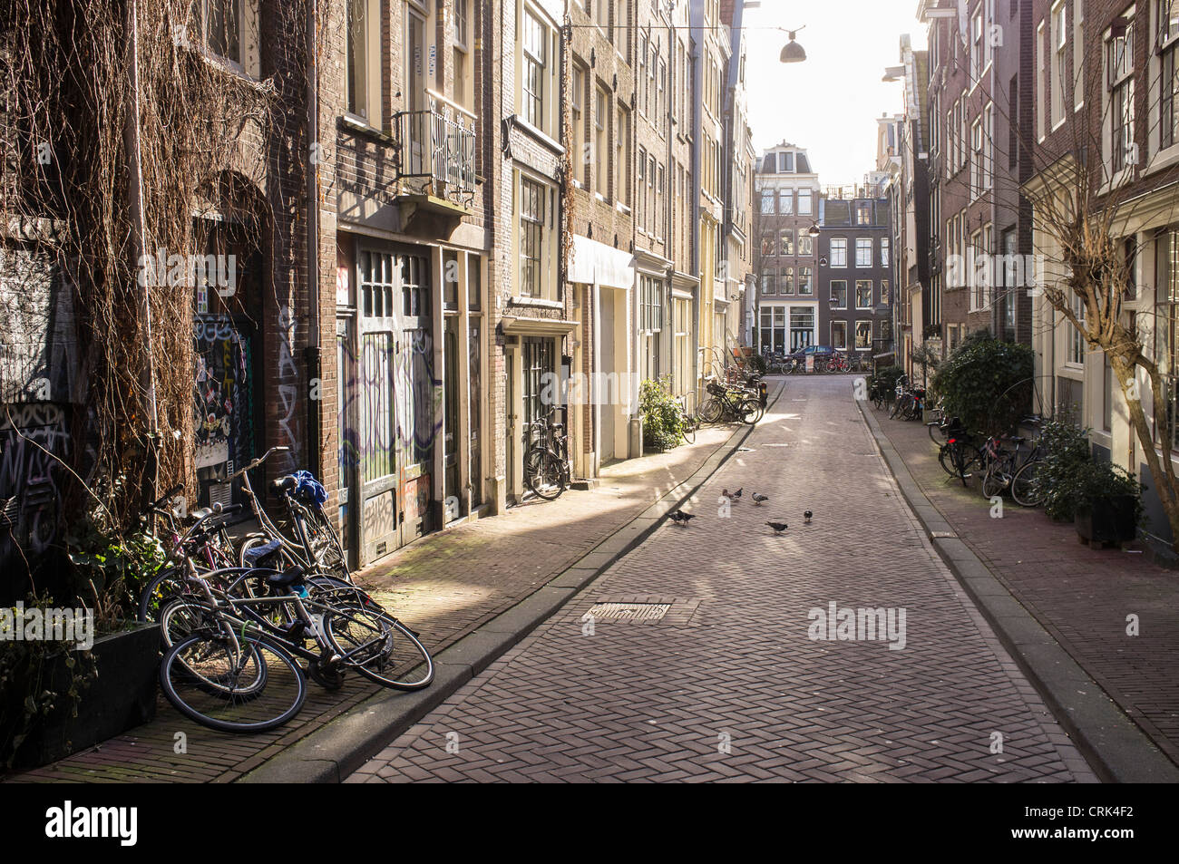 Bicycles parked on city sidewalk Stock Photo - Alamy