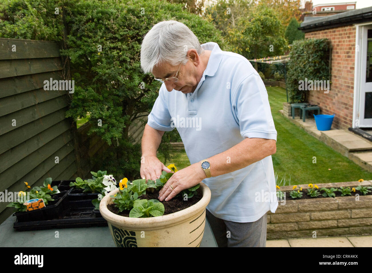 elderly man in his garden planting flowers Stock Photo - Alamy