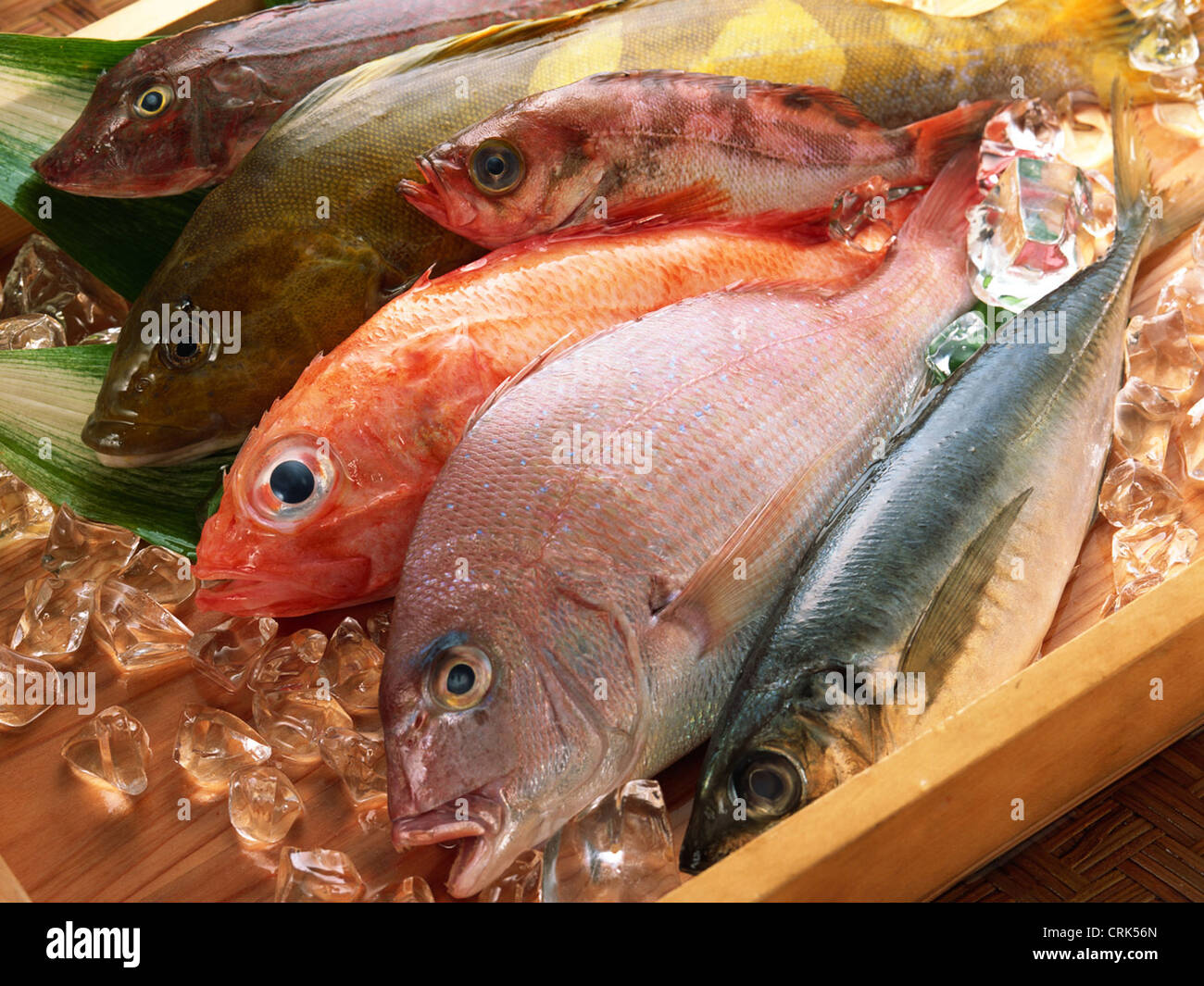 Crab shelves hi-res stock photography and images - Alamy