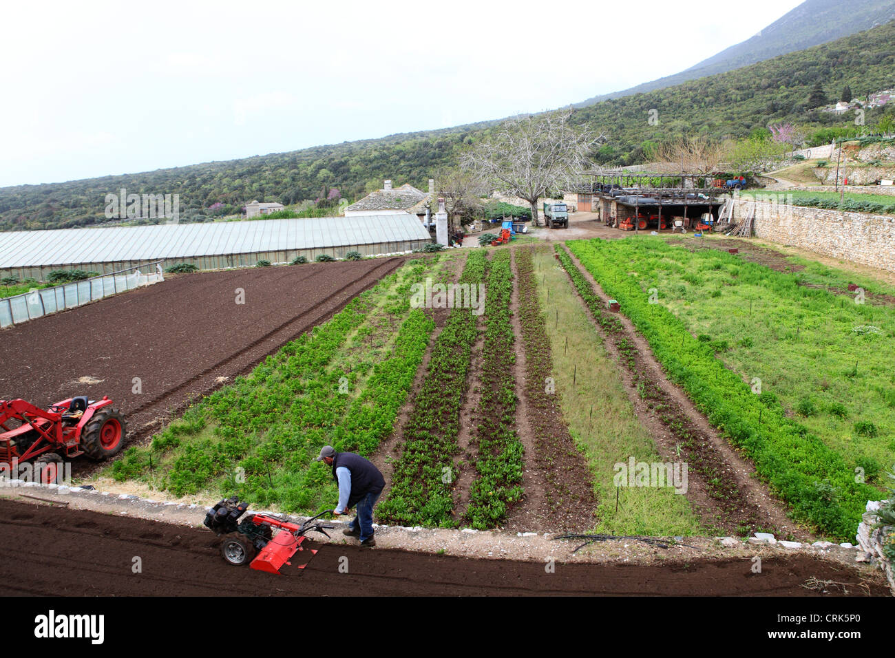 Greek work field hi-res stock photography and images - Alamy