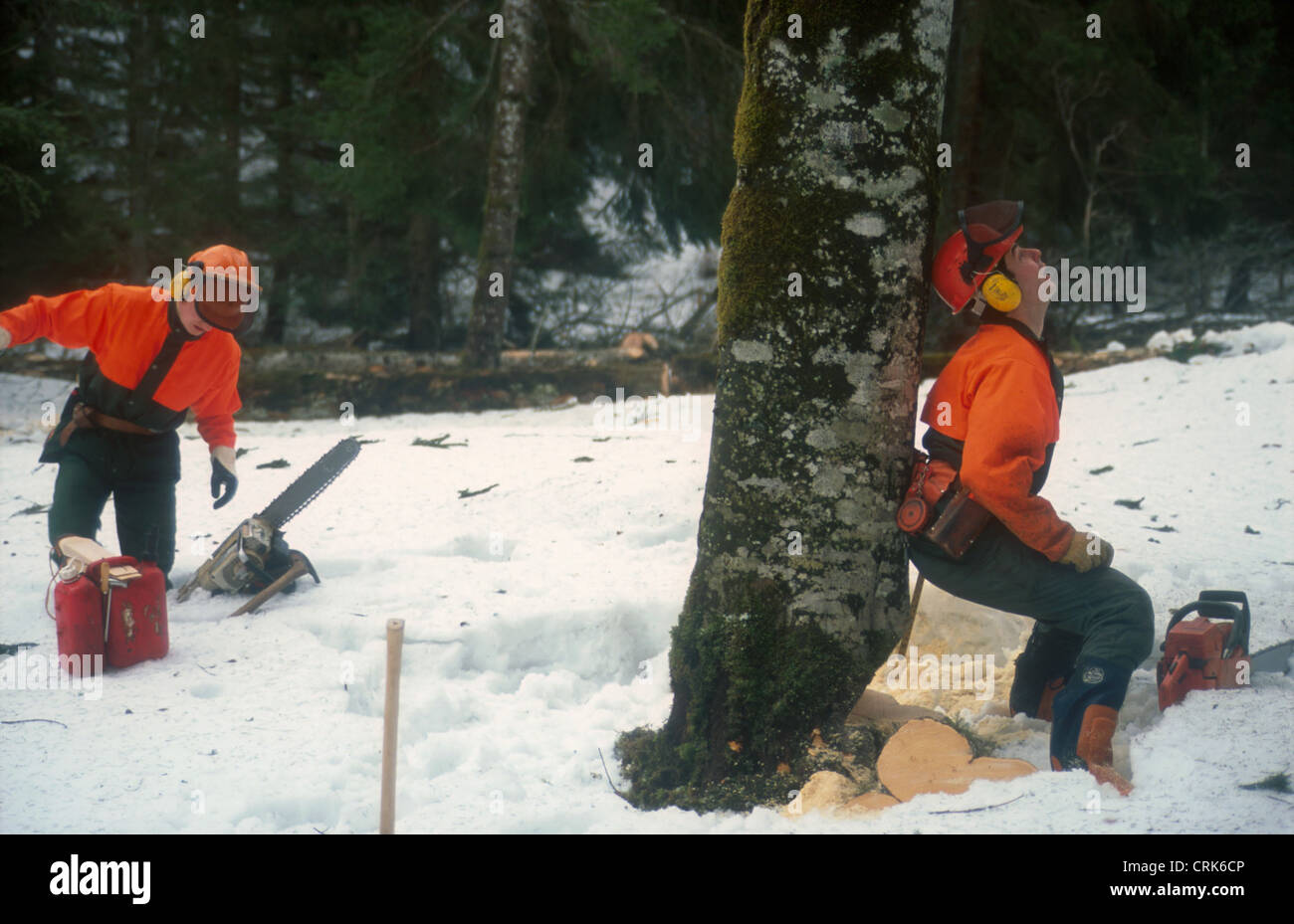 Lumberjacks in the Alps in Ruhpolding Stock Photo - Alamy
