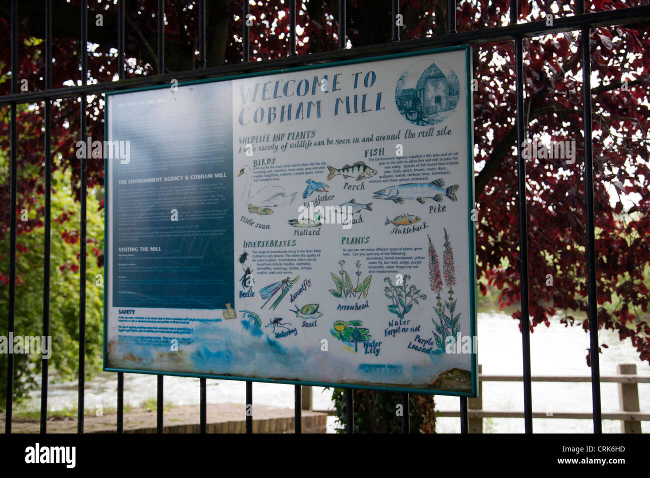 Welcome to Cobham Mill Sign With Wildlife and Plants - Surrey - UK ...