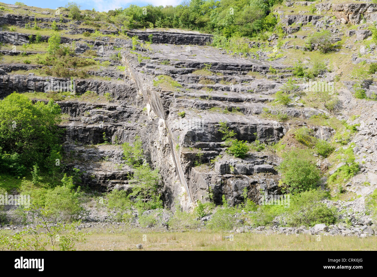 Old limestone quarry workings at Carmel Woods Nature Reserve Llandeilo ...