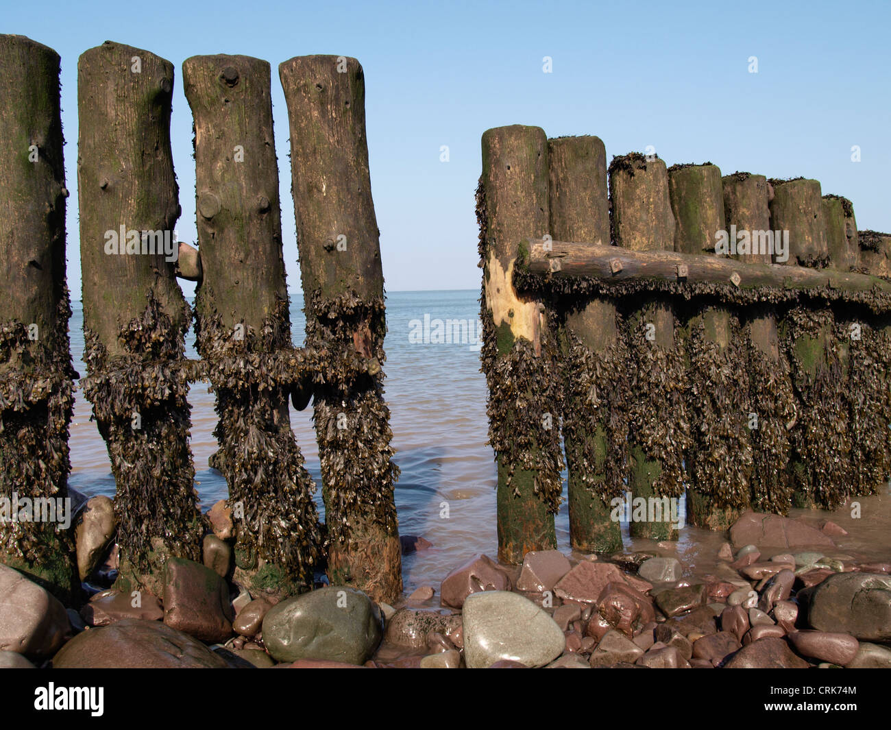 Wooden sea defences hi-res stock photography and images - Alamy