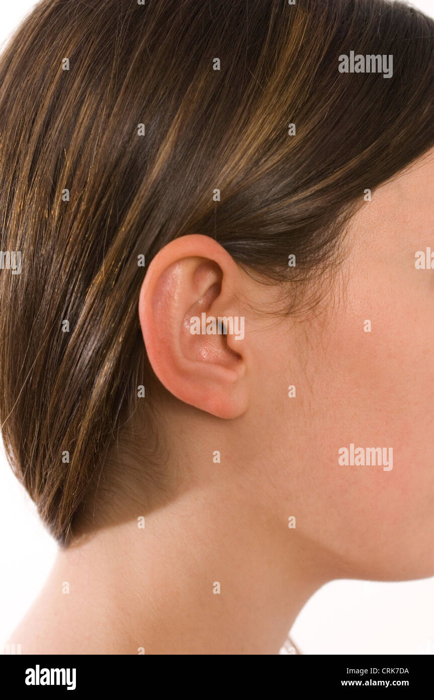 Side view of a woman's head Stock Photo - Alamy
