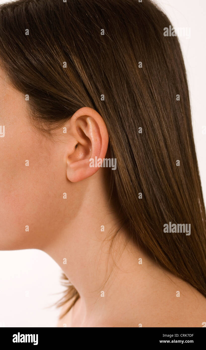 Womans head profile hi-res stock photography and images - Alamy