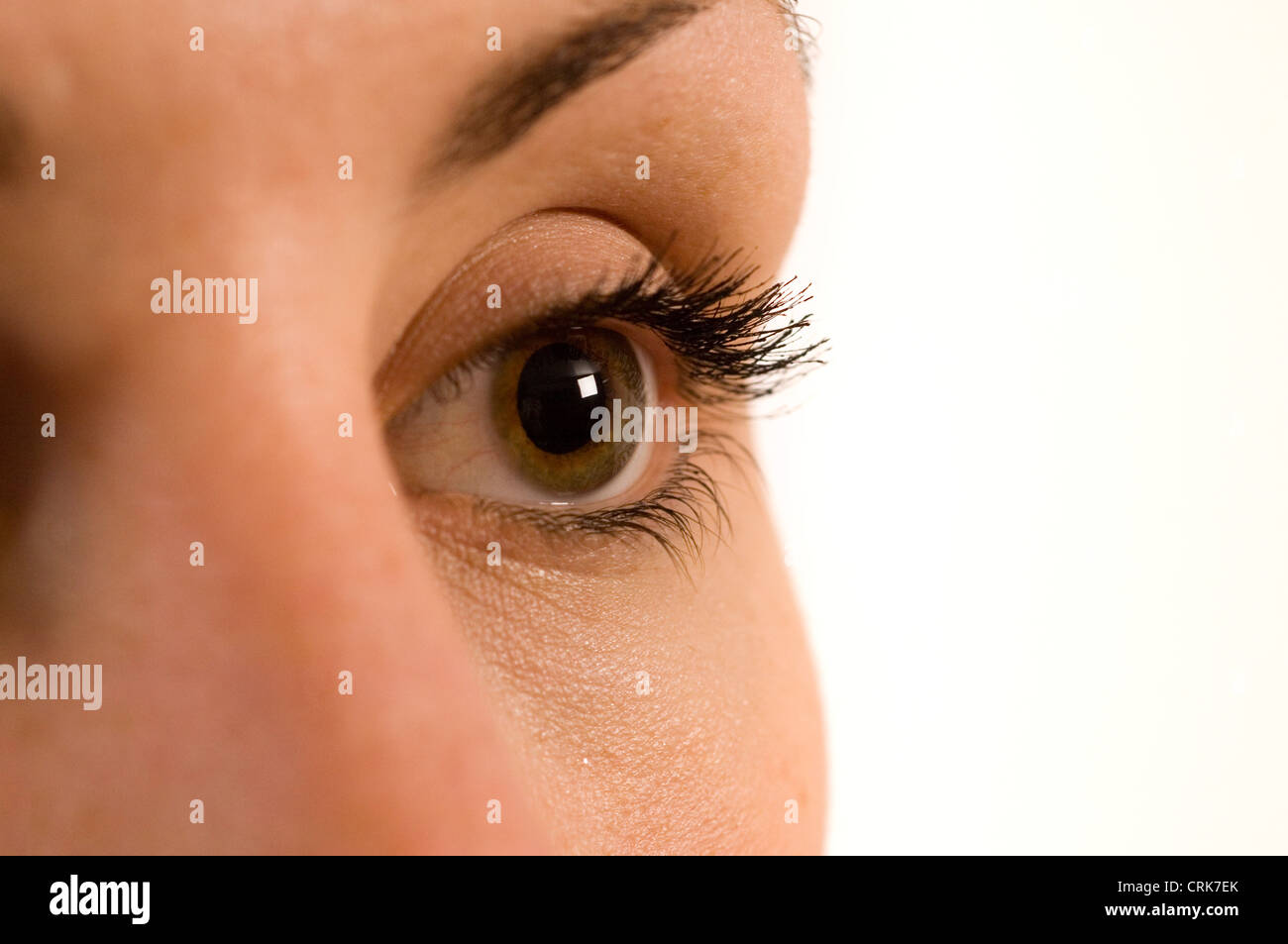 Eye woman anatomy hi-res stock photography and images - Alamy