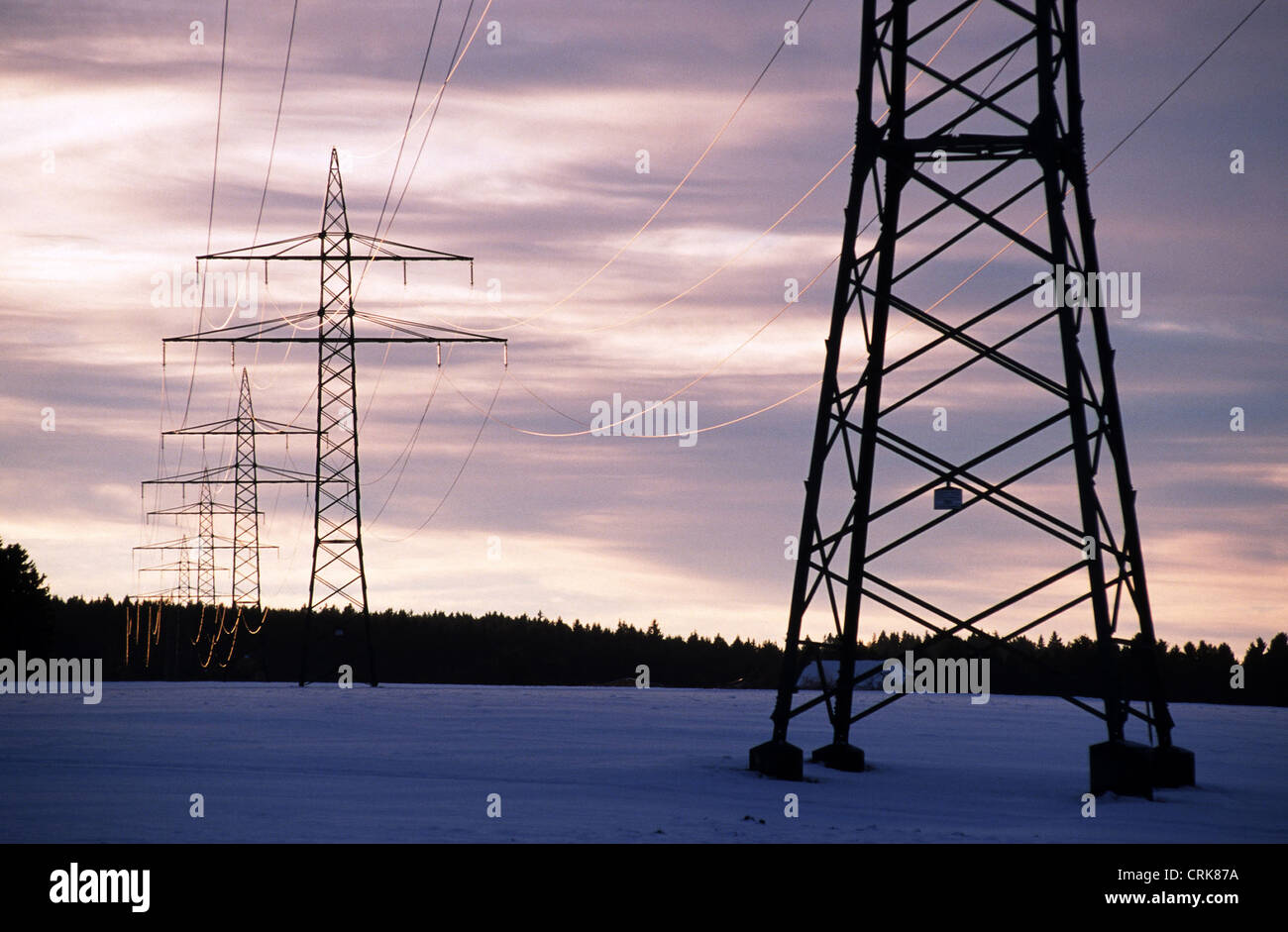 Power poles in the sunset light Stock Photo - Alamy