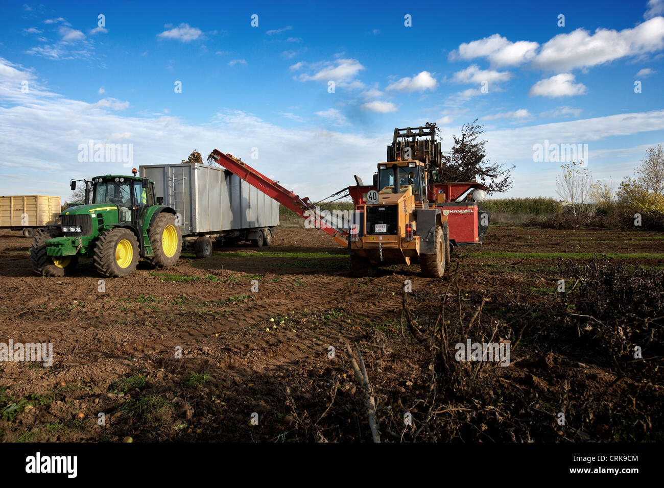 Machine of biomass grinding wood from trees Stock Photo - Alamy