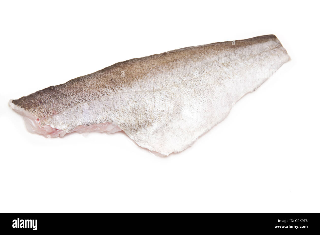 Pollock (Pollachius pollachius) fish fillet isolated on a white studio ...