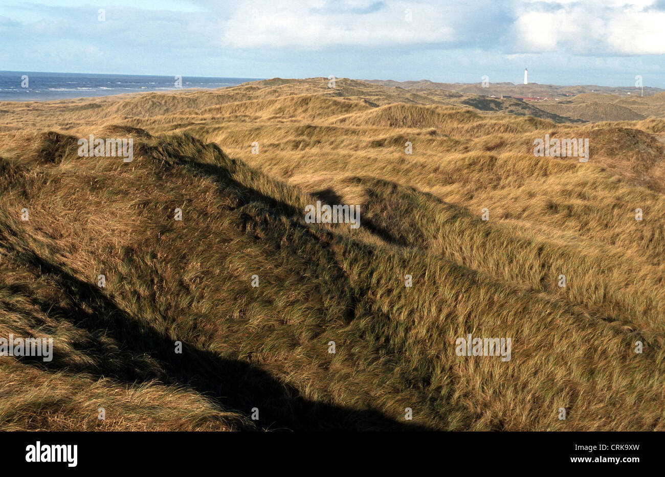 Coastal landscape on the Danish North Sea Stock Photo - Alamy