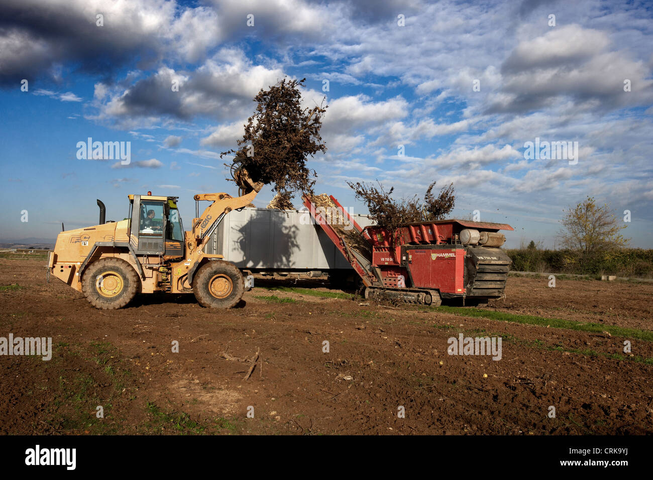 Machine of biomass grinding wood from trees Stock Photo - Alamy