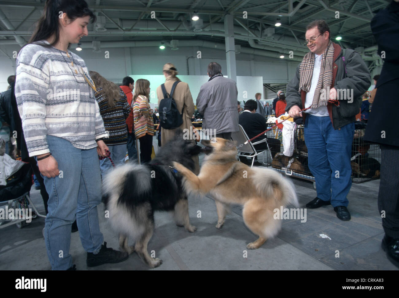 Community dogs hi-res stock photography and images - Alamy