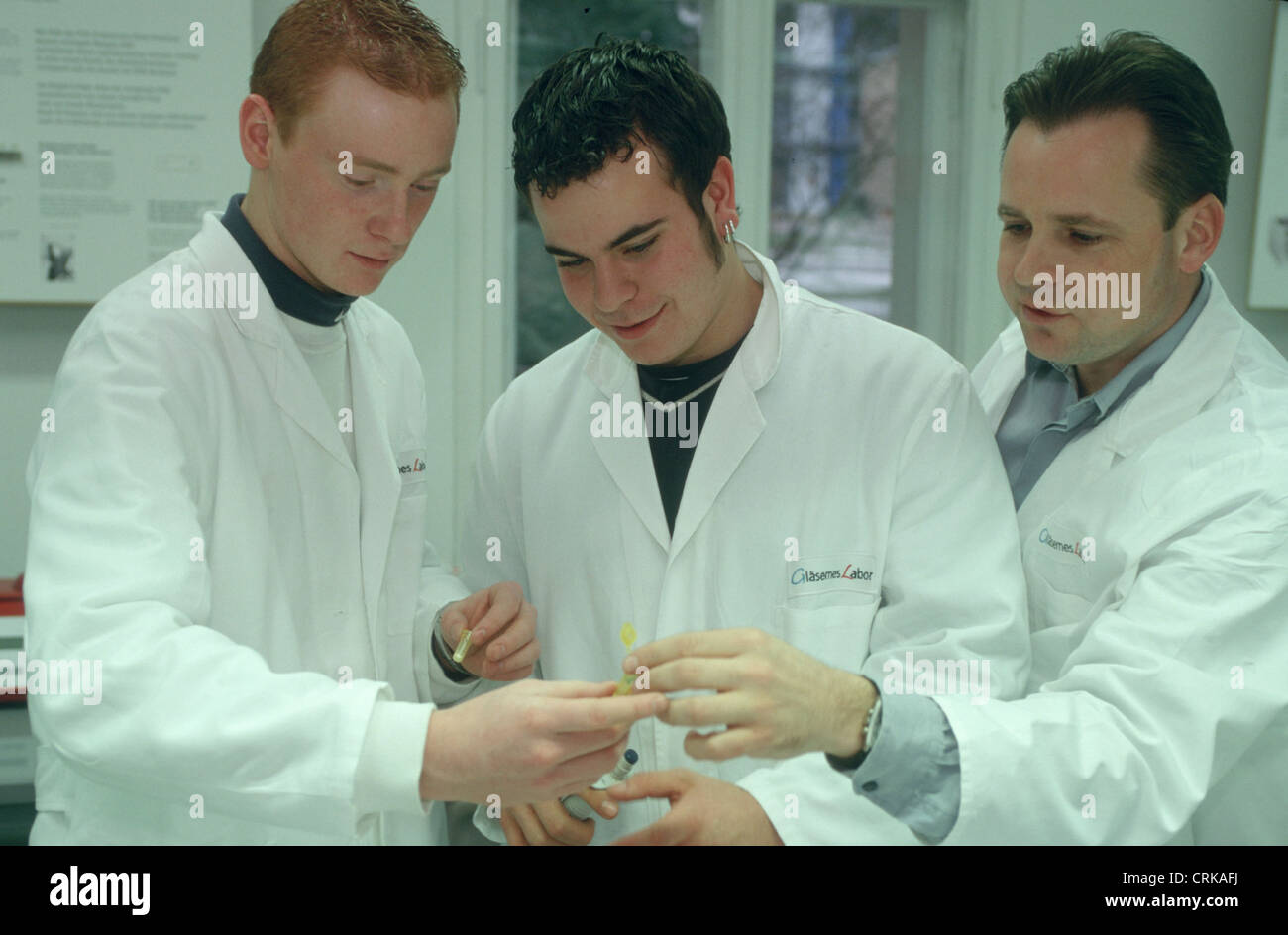 Experiments in the genetics lab Stock Photo - Alamy