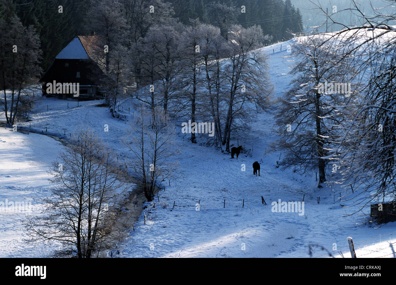 Black forest mill hi-res stock photography and images - Alamy