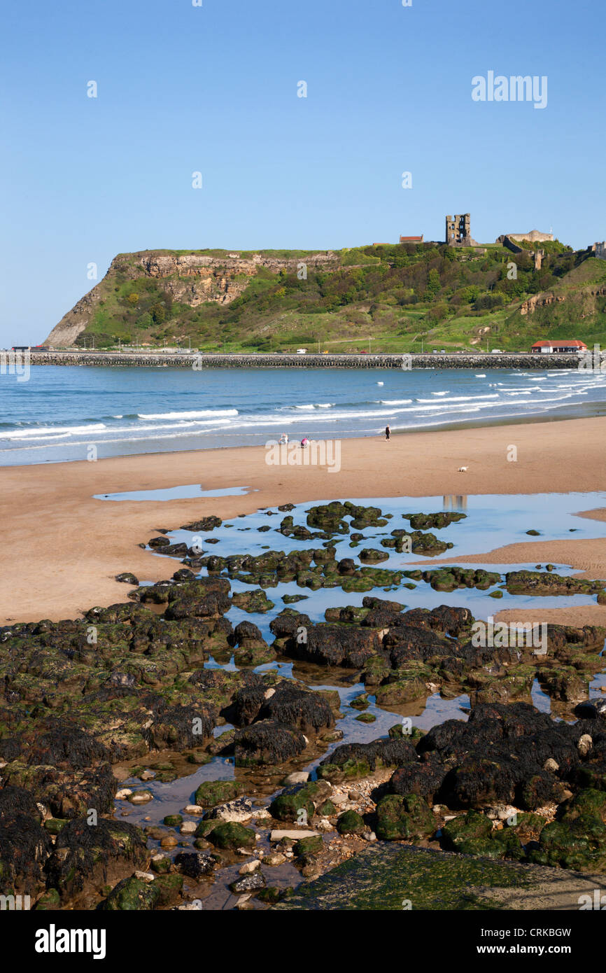 Rock Pools at North Sands and Castle Hill Scarborough North Yorkshire ...