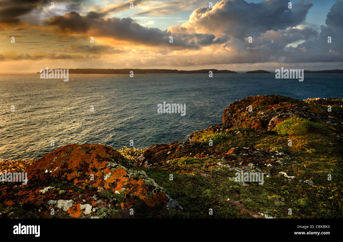 A seascape view of Skomer island from lichen encrusted red sandstone ...