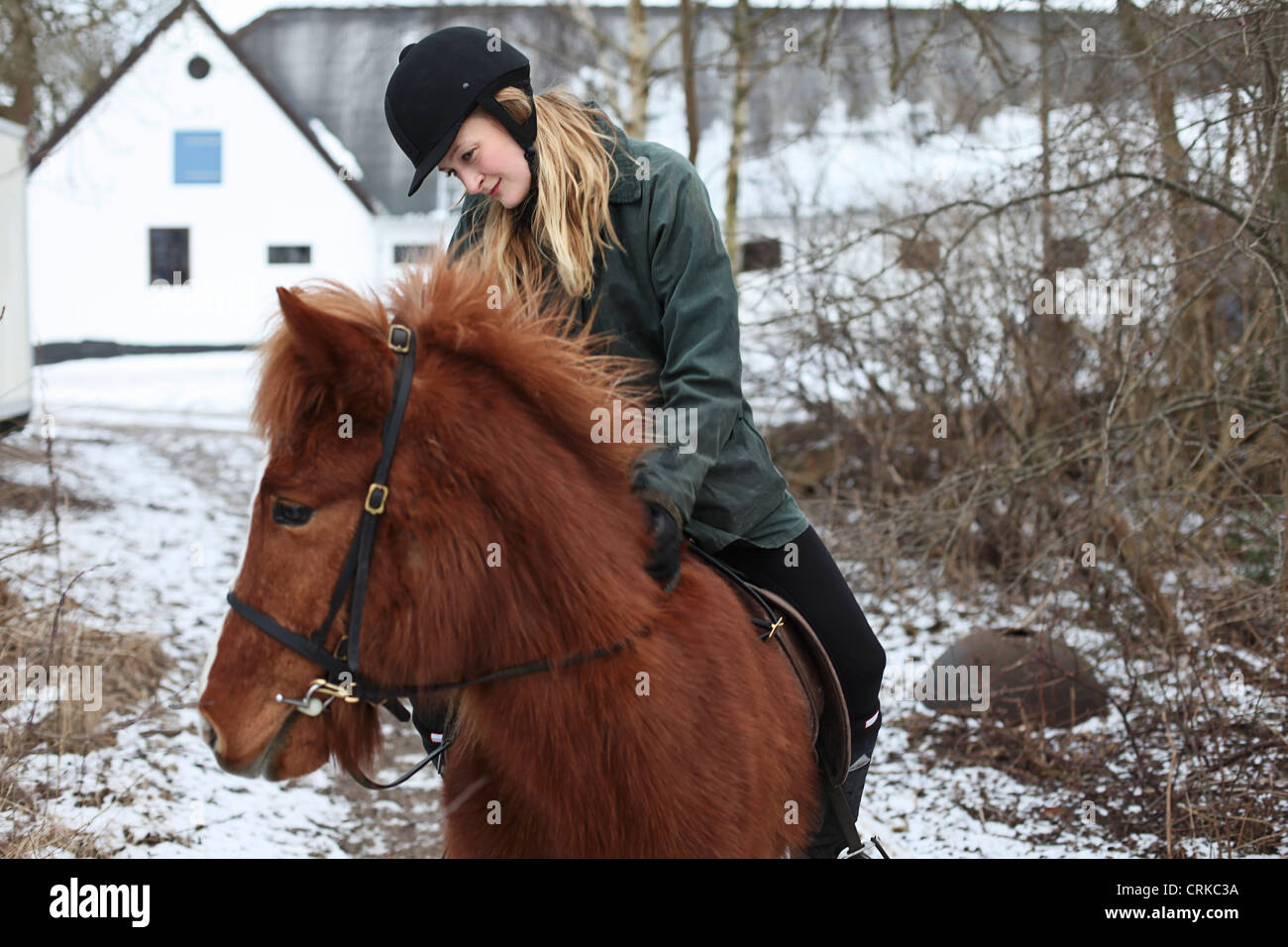 Woman riding horse in snow Stock Photo - Alamy