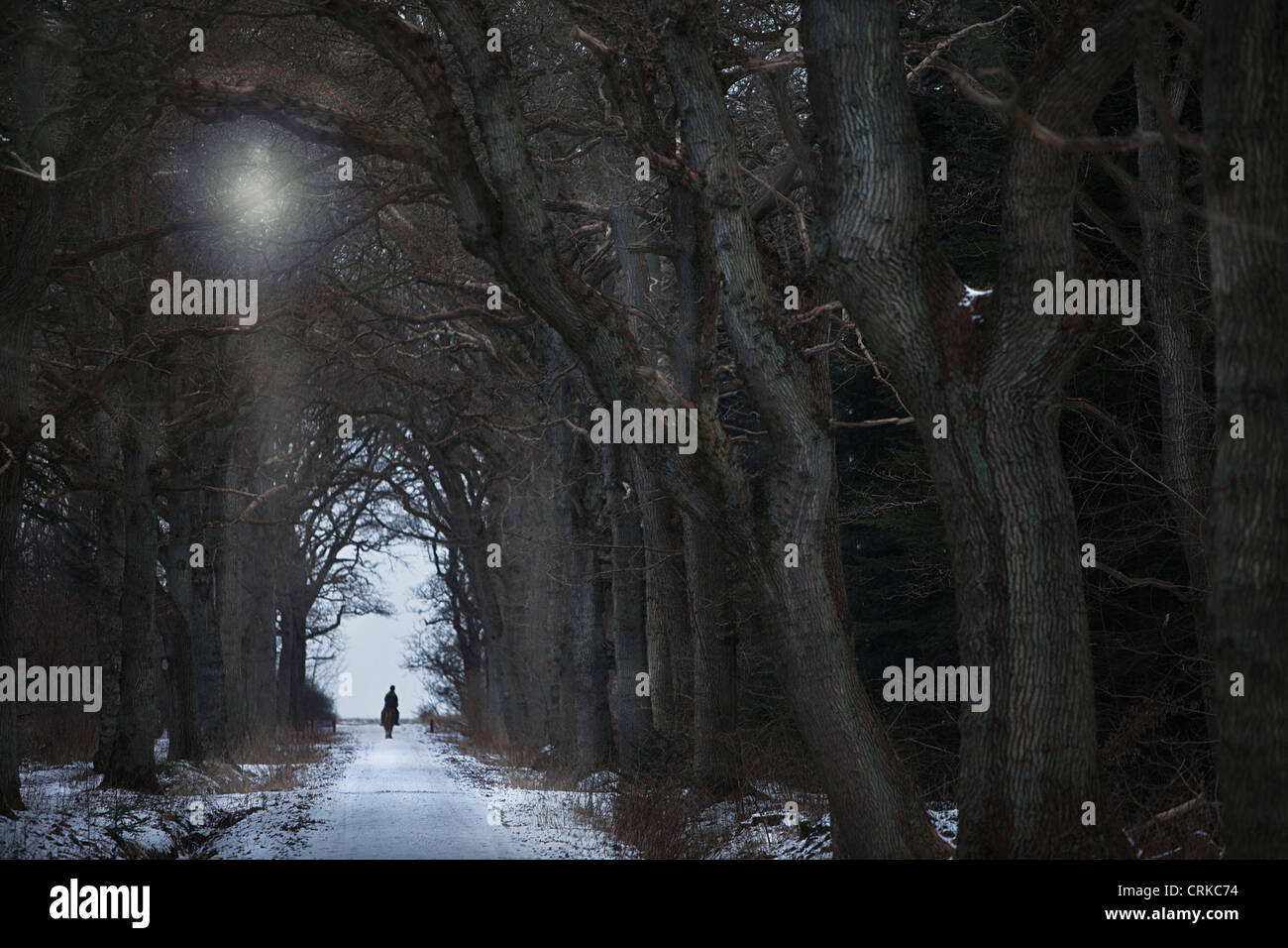 Riding into distance on horse hi-res stock photography and images - Alamy