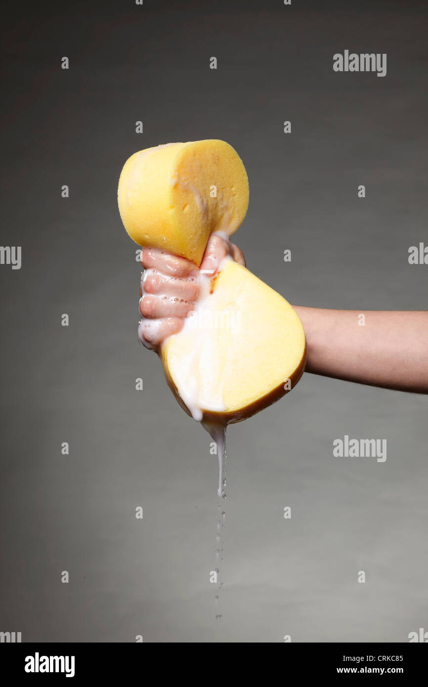 Hand squeezing soapy sponge Stock Photo - Alamy