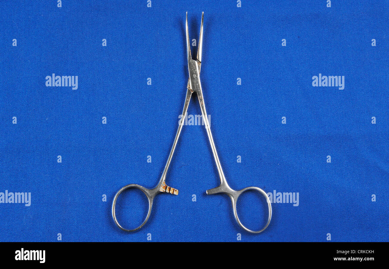 surgical clamp on blue background Stock Photo - Alamy