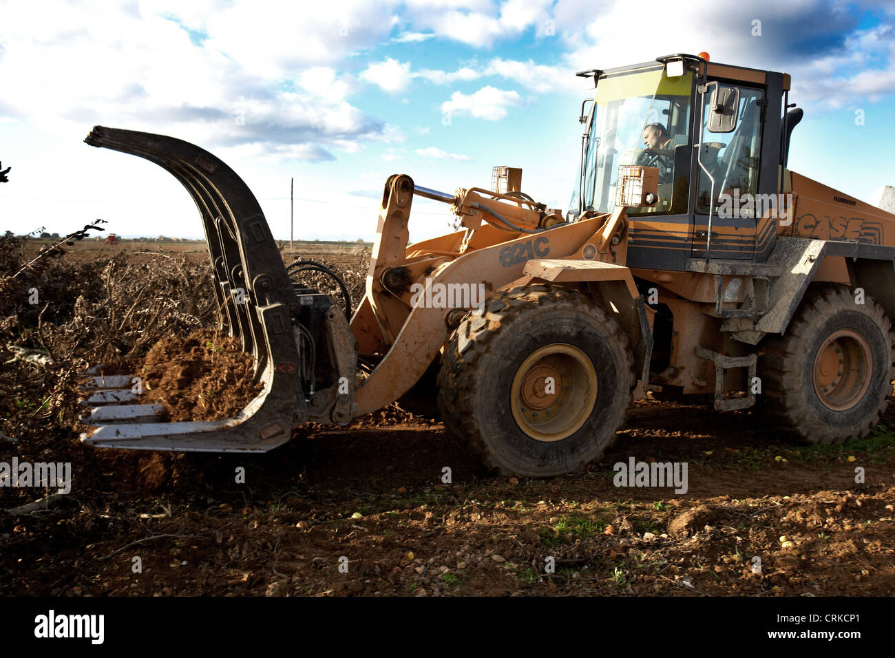 Uprooting trees hi-res stock photography and images - Alamy
