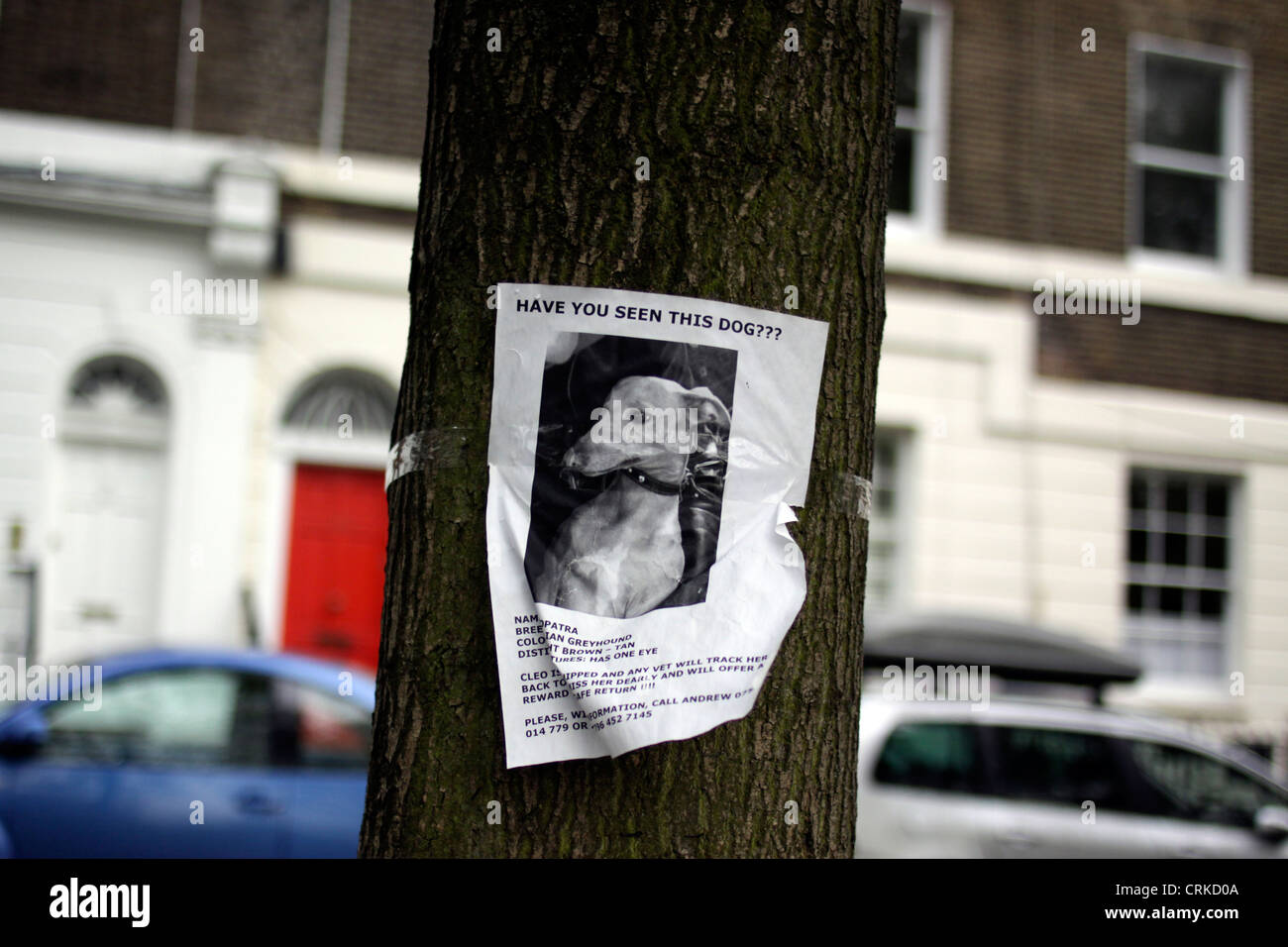 Lost dog poster hi-res stock photography and images - Alamy