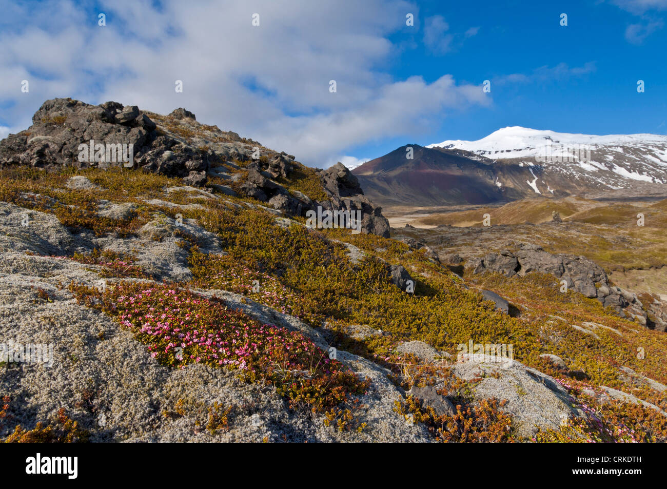 Snaefellsjokull glacier and volcano Snaefellsnes national park lava ...