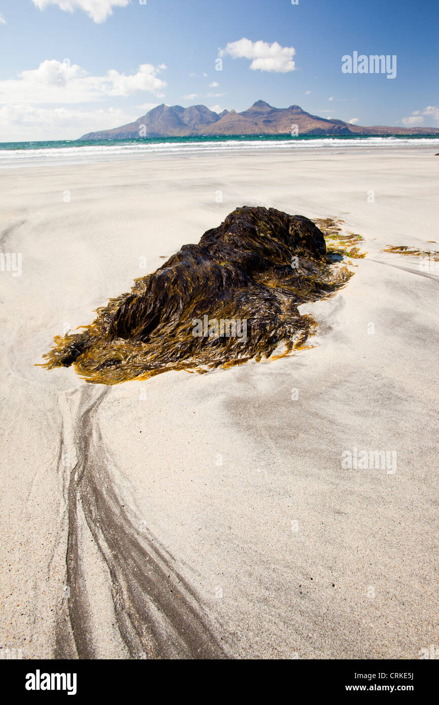 The Bay of Laig at Cleadale on the Isle of Eigg, looking towards the ...